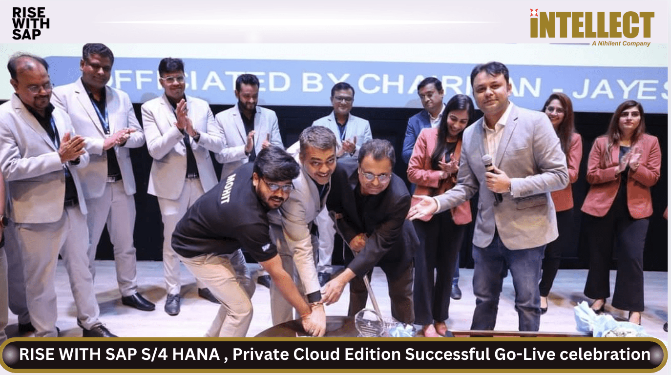 Bird Eye View - Intellect Bizware